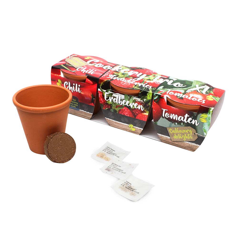 Kruiden in terracotta potjes - Greengiving.be